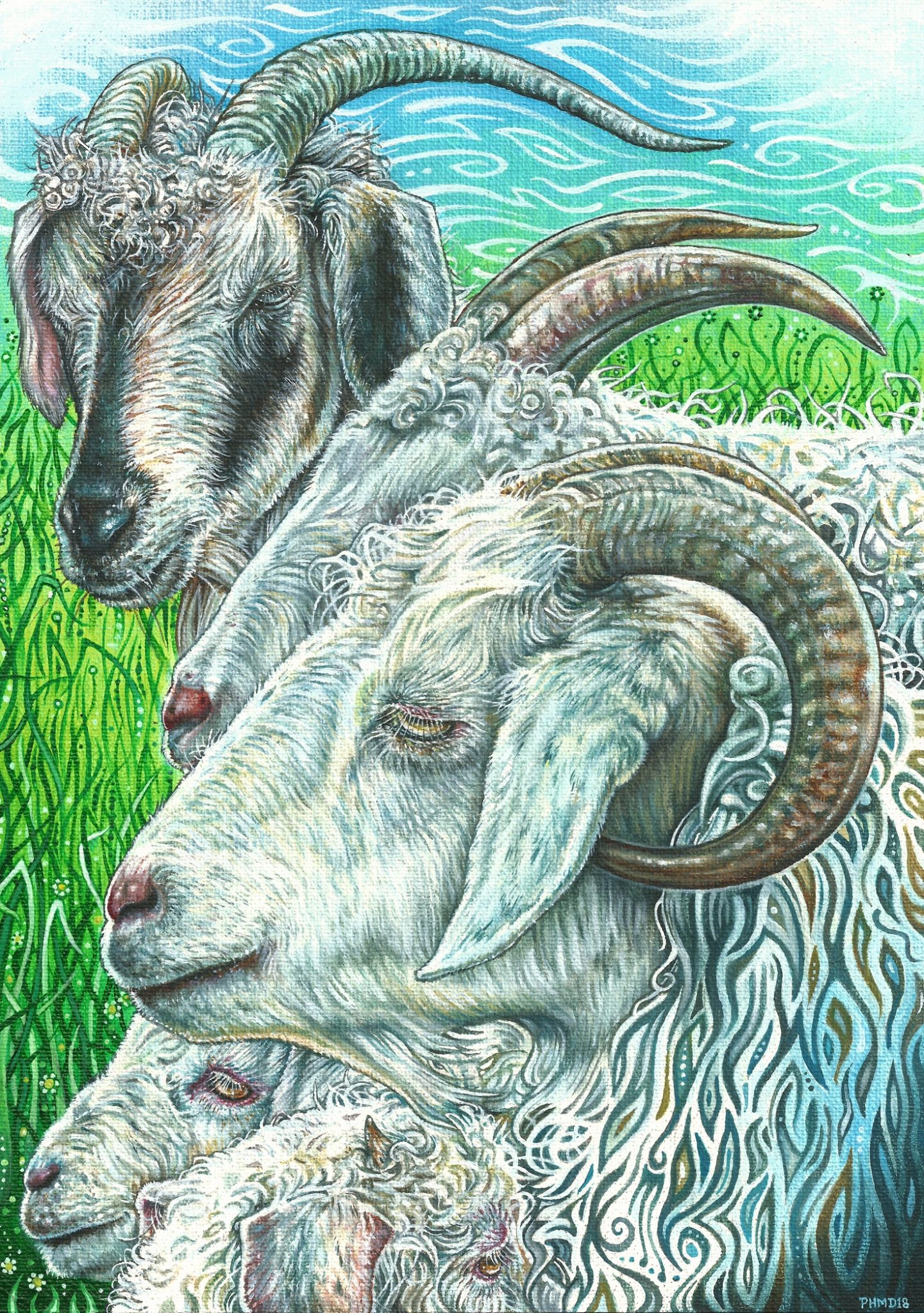 Feather and Fur – Philip Downs