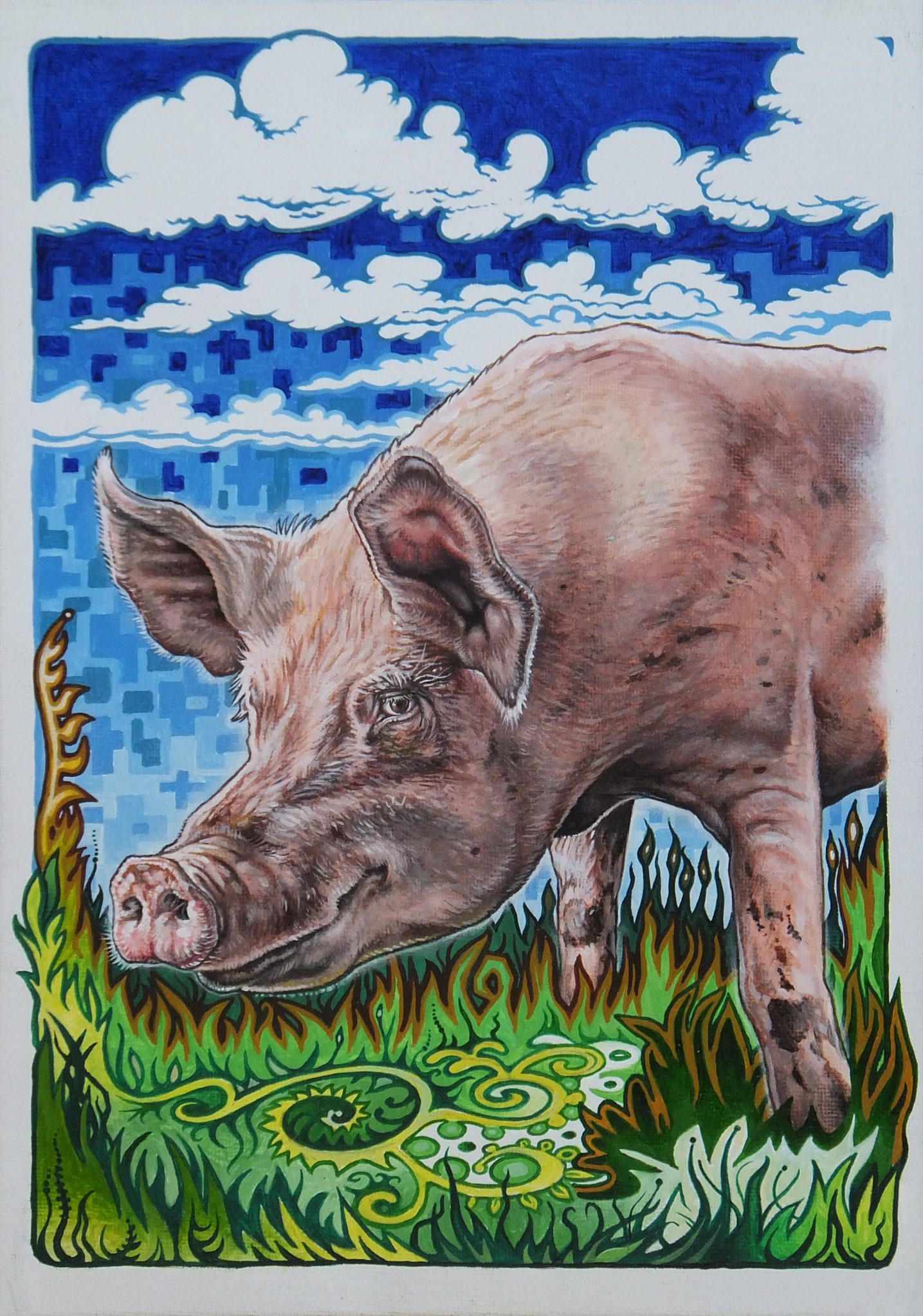 Everyday Animals: Sus Scrofa – Philip Downs