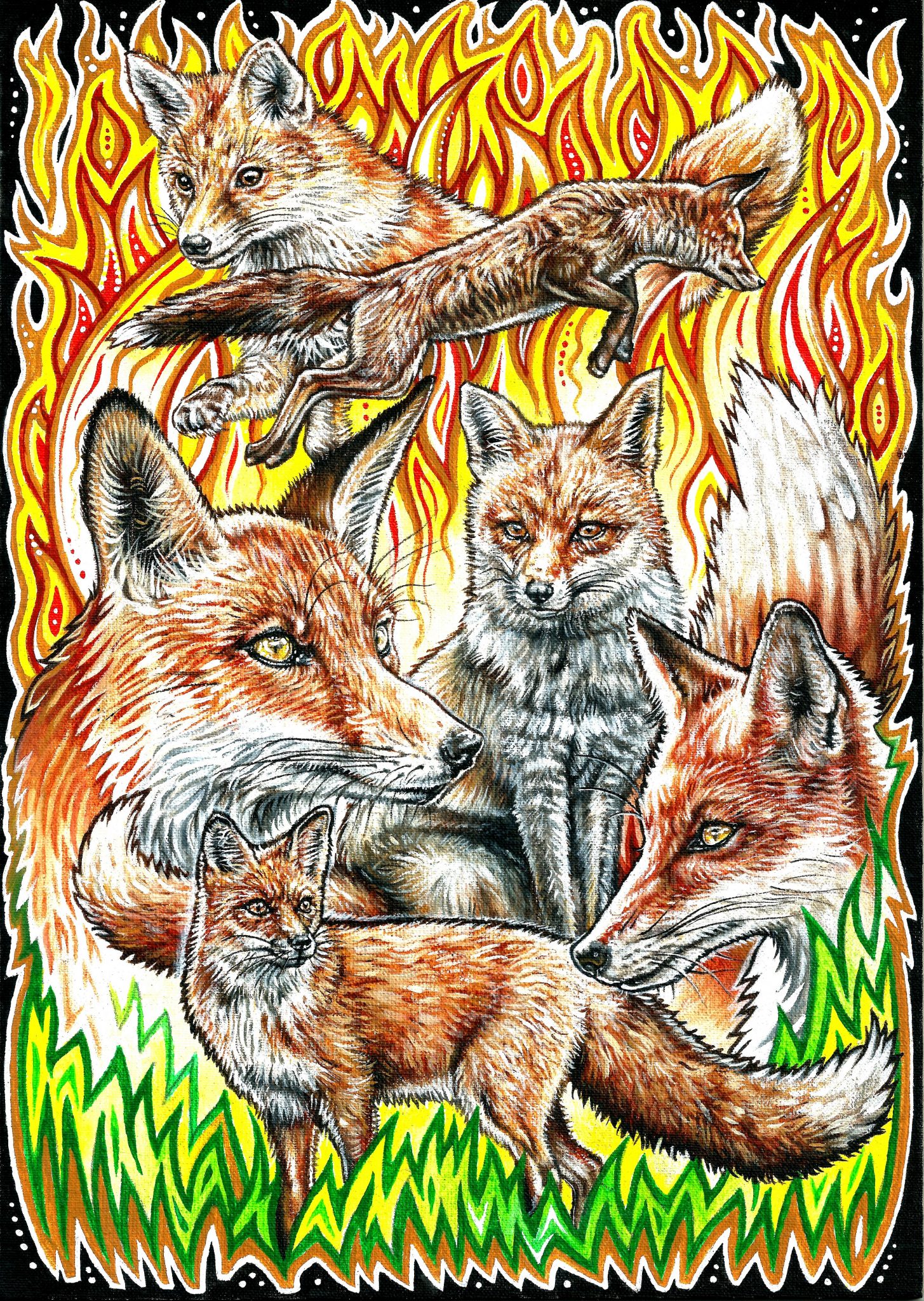 Fire Fox – Philip Downs