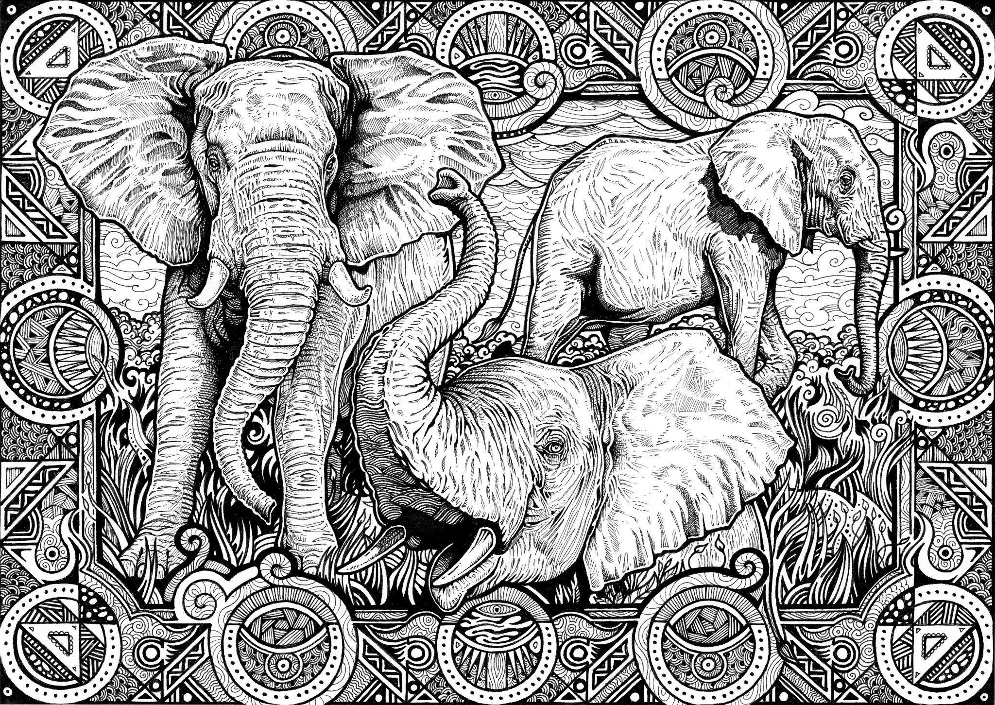 ANIMALIA: ELEPHANTS – Philip Downs